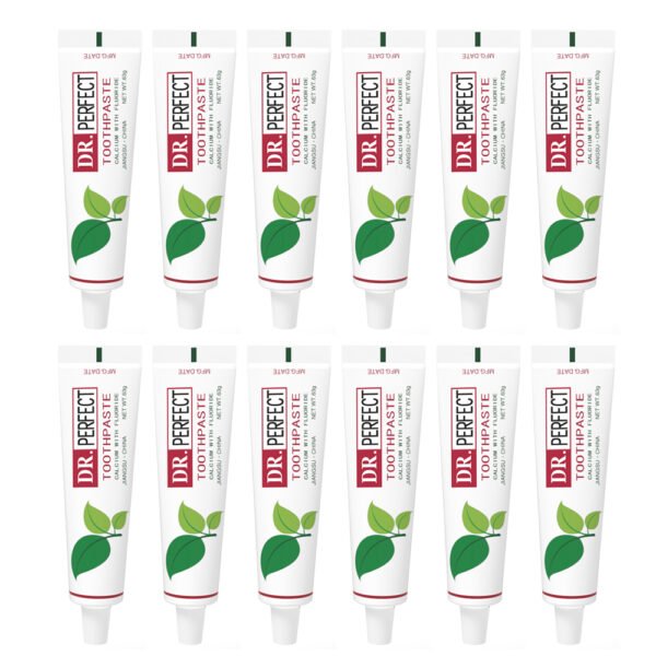 Minty Fresh Toothpaste (Pack of 12) - DR.PERFECT