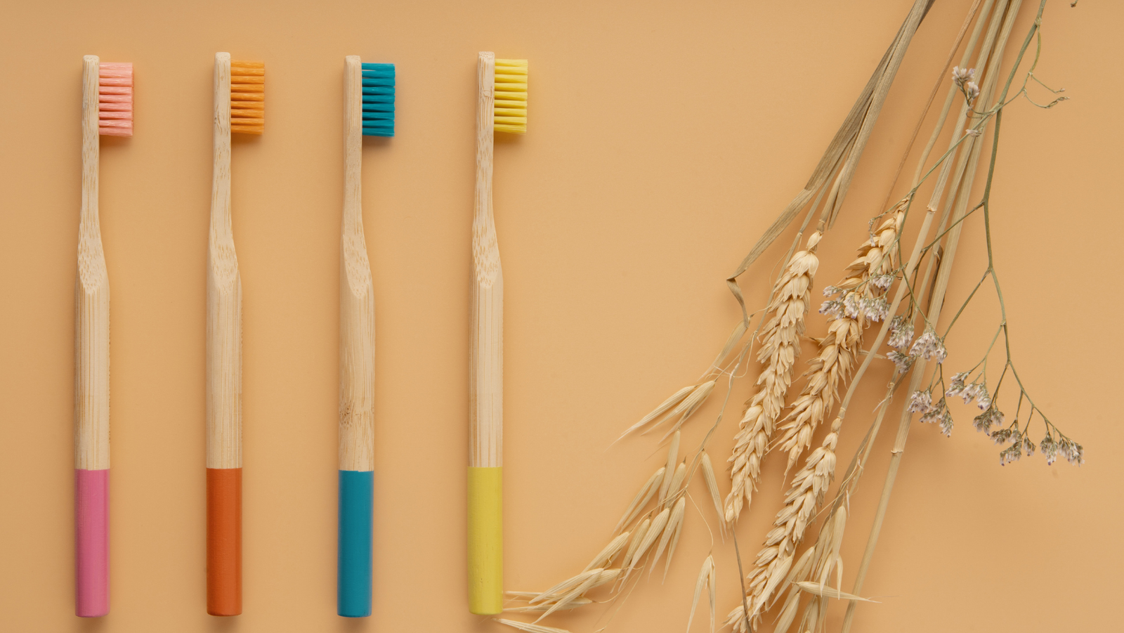 Eco-friendly Toothbrush Buying Guide