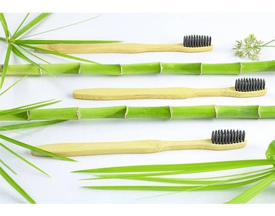 Brush Wih Bamboo? Are You Looking for A Bamboo Toothbrush?